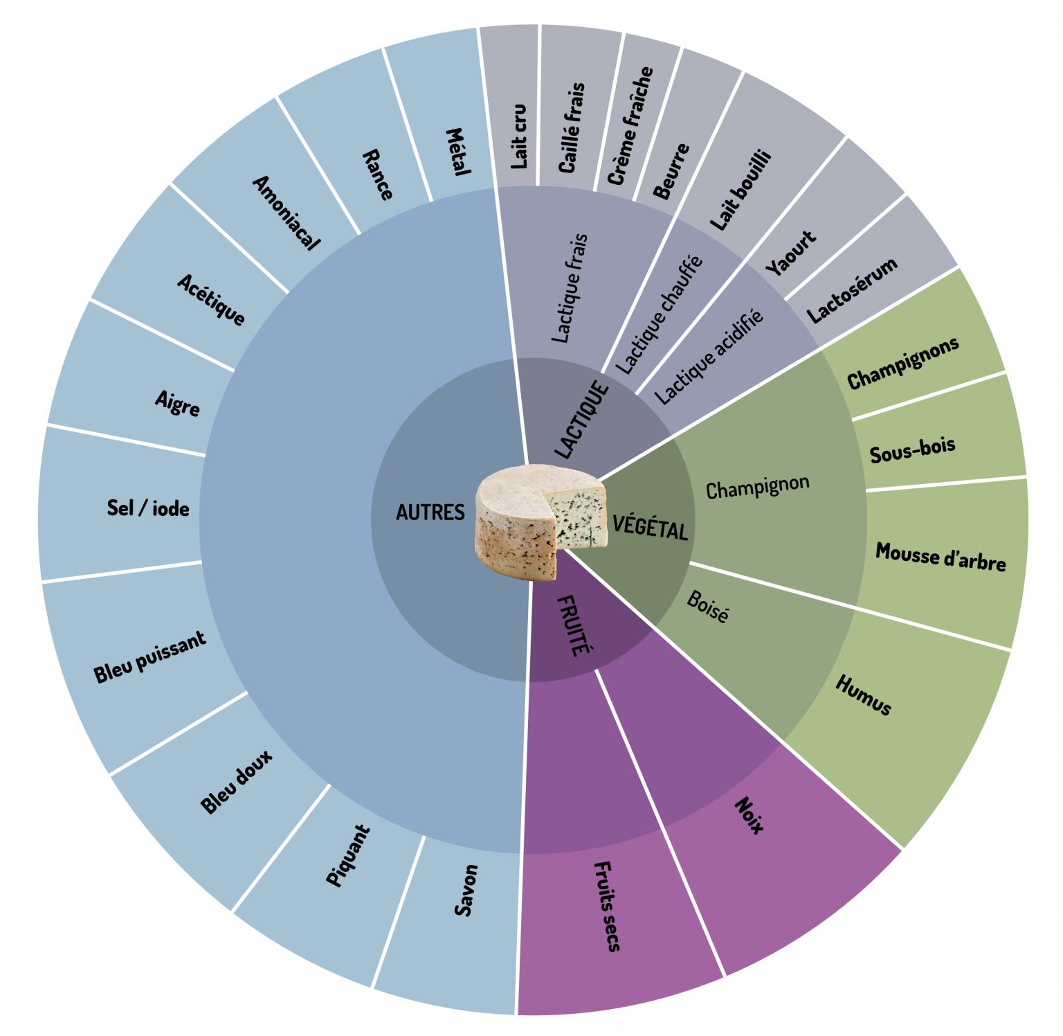 Dégustations & Recettes - Fromage AOP Bleu d'Auvergne